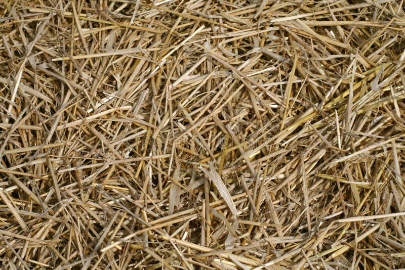 Interior of vintage house stock image. Image of pattern - 10772395