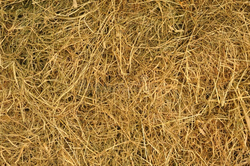 Hay background stock image. Image of colored, heap, coloured - 14250869