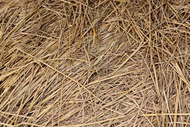 Haystack Texture Background Stock Image - Image of abstract, agri: 19674919