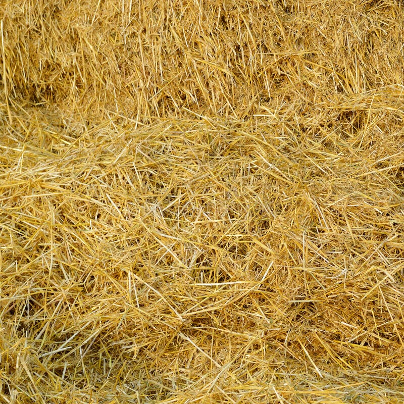 Hay background stock image. Image of rural, scene, yellow - 26502937