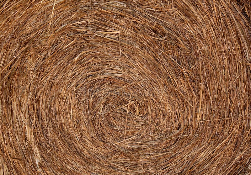 Hay background stock photo. Image of agriculture, grass - 38902376
