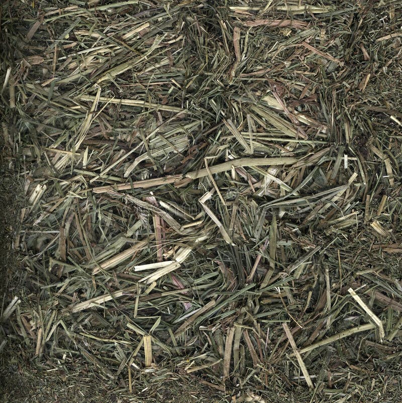 Hay background stock photo. Image of haystack, farm, stack - 67014824