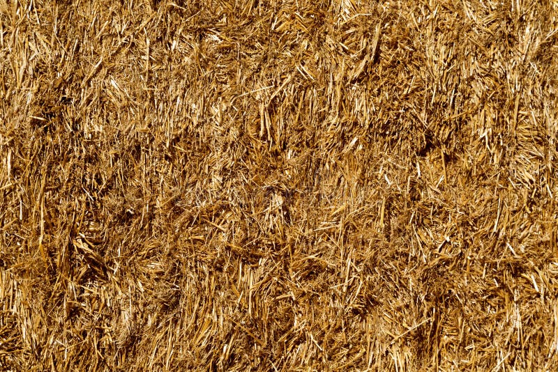 Square haystack closeup stock photo. Image of barley - 80300332