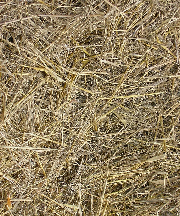 3,571 Texture Hay Closeup Color Stock Photos - Free & Royalty-Free ...