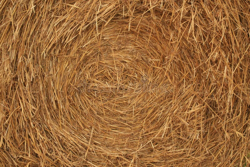 Hay backgrounds stock photo. Image of crop, fodder, gold - 2388396