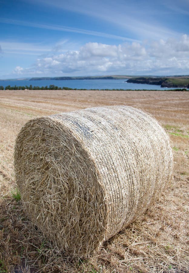 Hay bail close up stock photo. Image of bail, rural, natural - 58260762