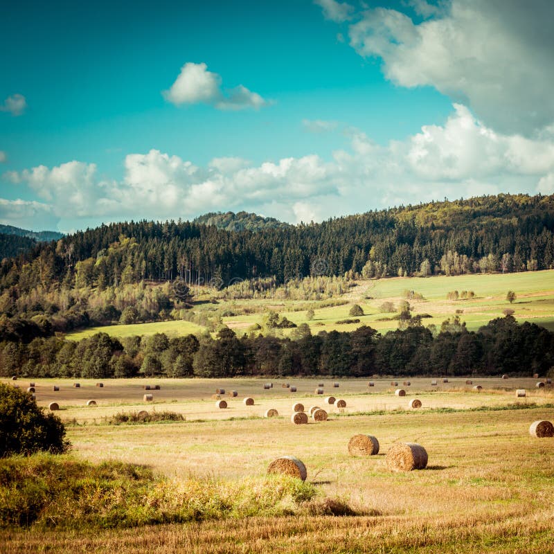 Hay bail harvesting stock image. Image of nature, farm - 45178163