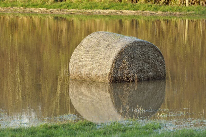 Hay bail with reflection stock image. Image of field - 27890157