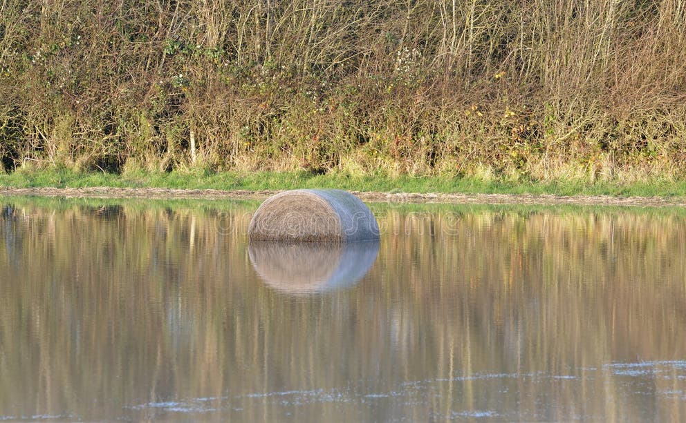 Hay bail with reflection stock image. Image of pool, landscape - 28006695