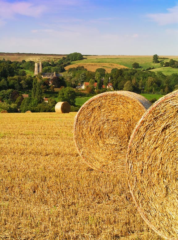 Hay bails stock image. Image of circular, golden, countryside - 136301