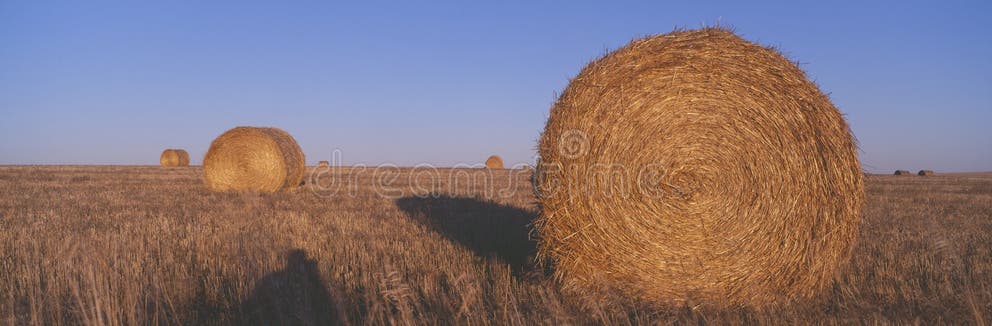 Hay Bails, stock image. Image of fields, bales, agricultural - 23171171