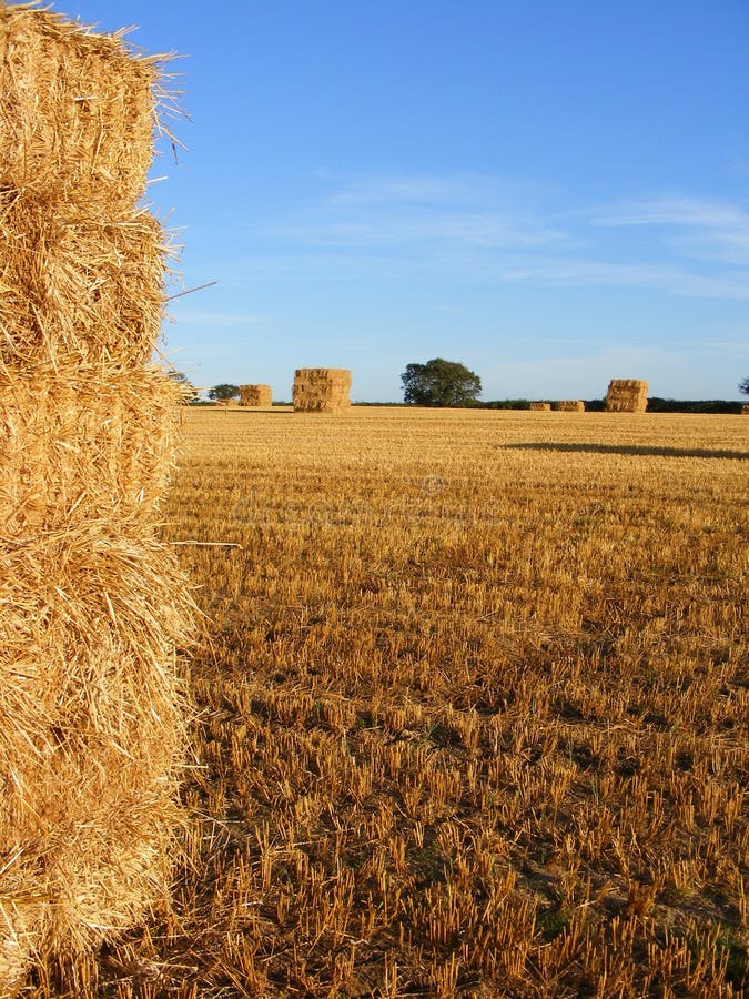 Stacked Straw Hay Bails Stock Photos - Free & Royalty-Free Stock Photos ...
