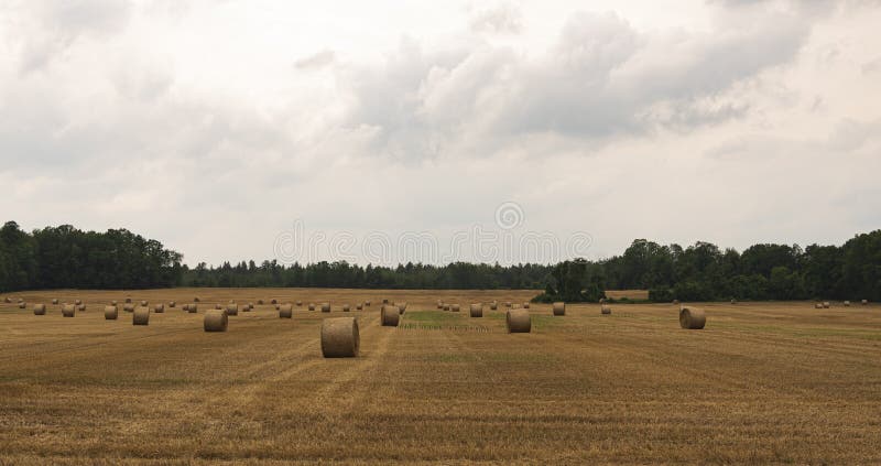 Hay Bails on a Farmers Field Stock Photo - Image of cloud, clear: 226993374