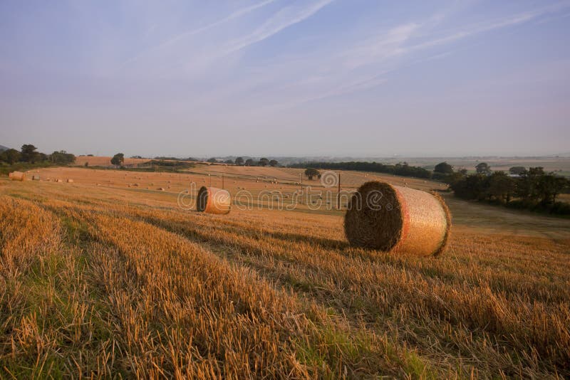 Hay bails in a field stock image. Image of dramatic, harvest - 26183671