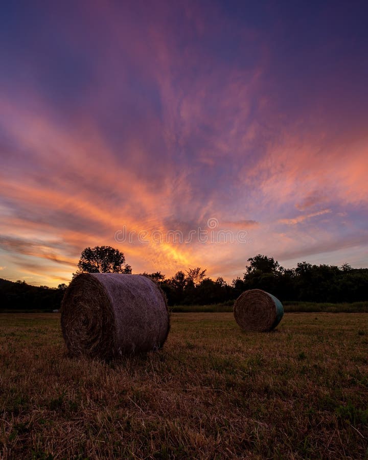 Hay bails at sunset stock photo. Image of crop, feed - 32155034