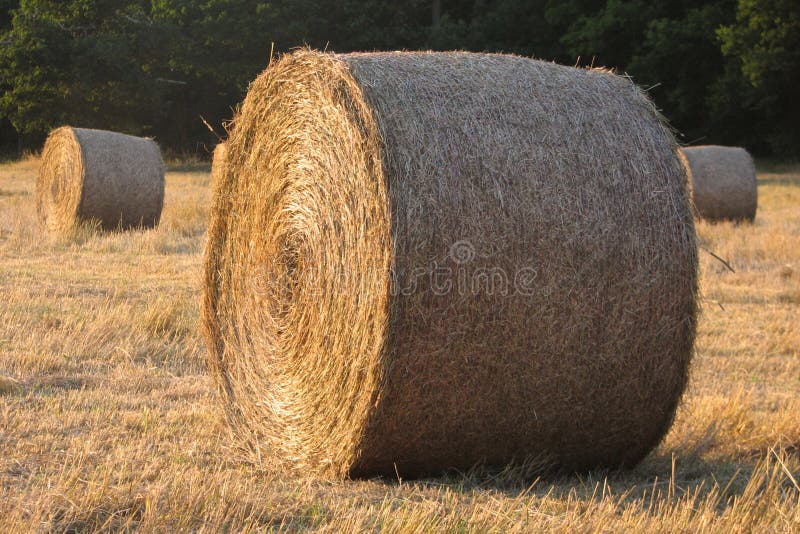 Hay bale stock image. Image of light, landscape, bales - 1060881