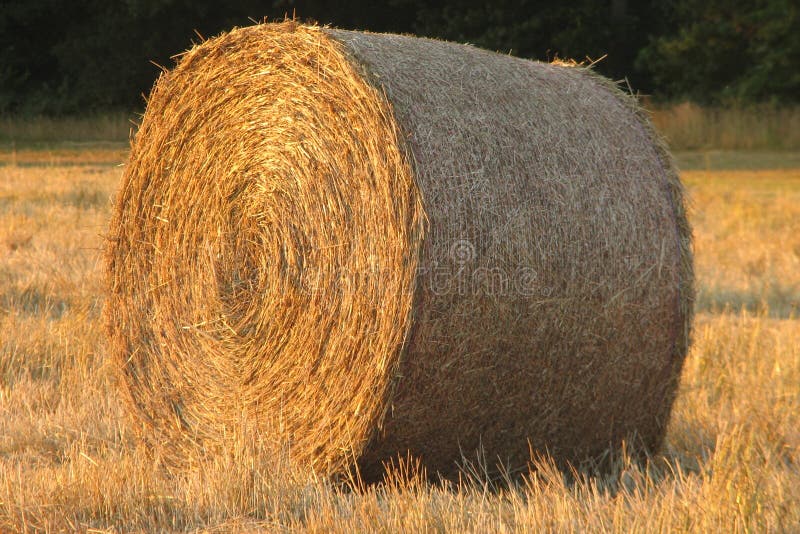 Hay Bale Picture. Image: 1060881