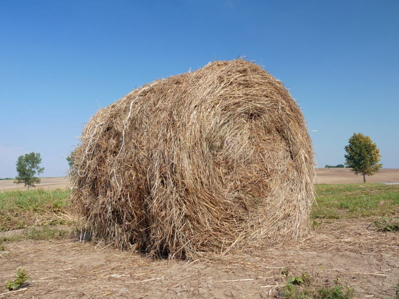 Hay bale stock image. Image of field, farming, crop, country - 11948079