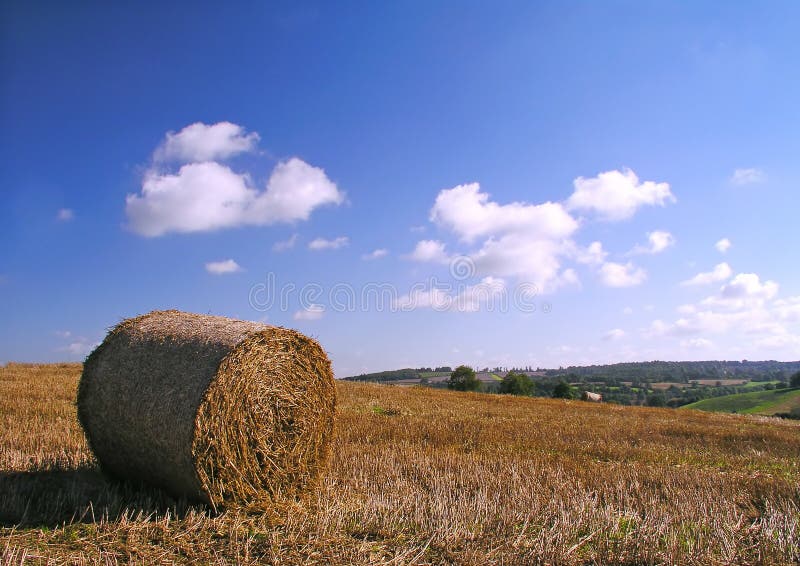 Hay bale 3 stock photo. Image of round, country, agriculture - 167834