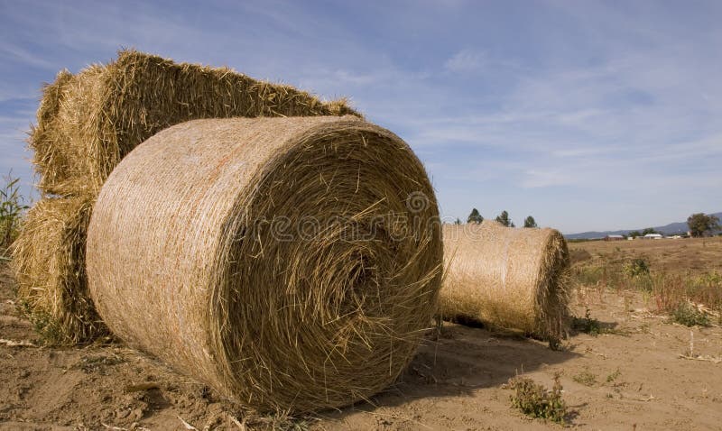 Hay Bale Picture. Image: 1432586