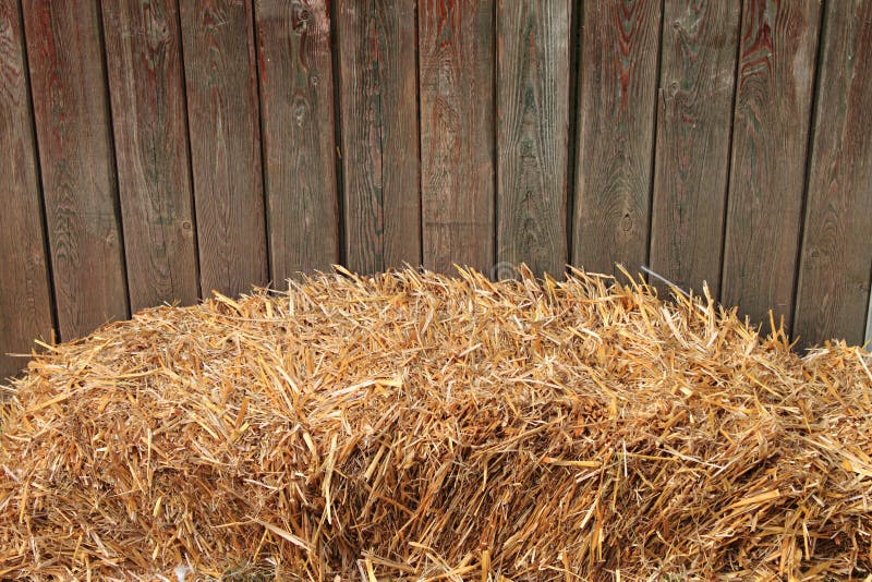 Hay bale stock image. Image of industry, gray, agriculture - 14760059