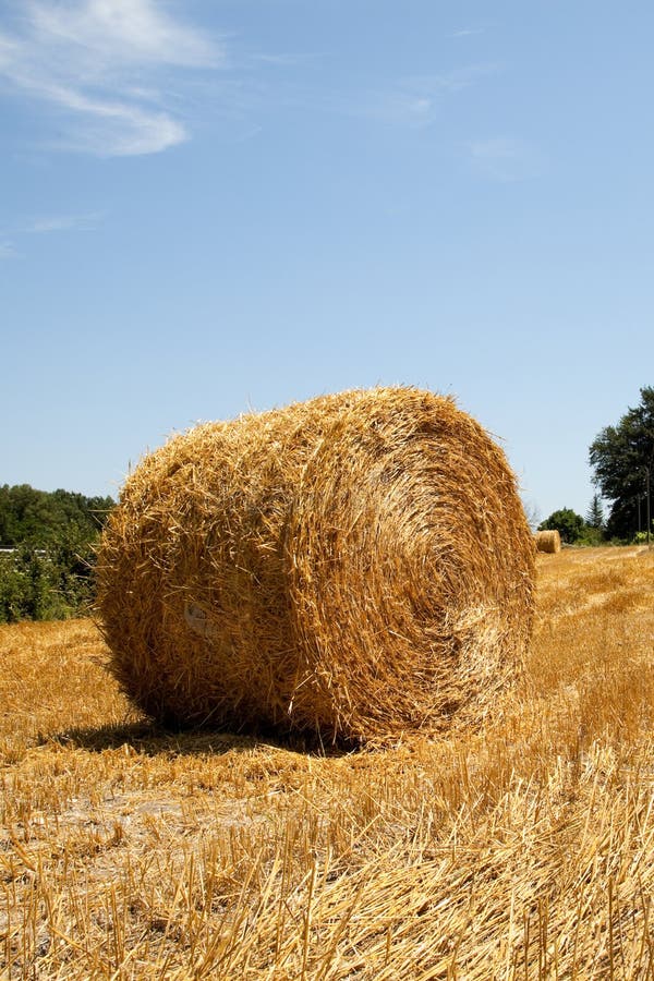 Hay bale stock photo. Image of circular, field, blue - 20393762