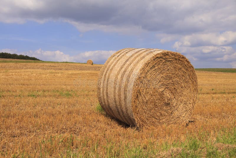 Hay bale stock image. Image of harvest, golden, agricultural - 26154527