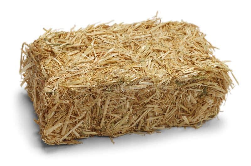 Baal van hooi stock foto. Image of voer, dier, gebundeld - 11663630