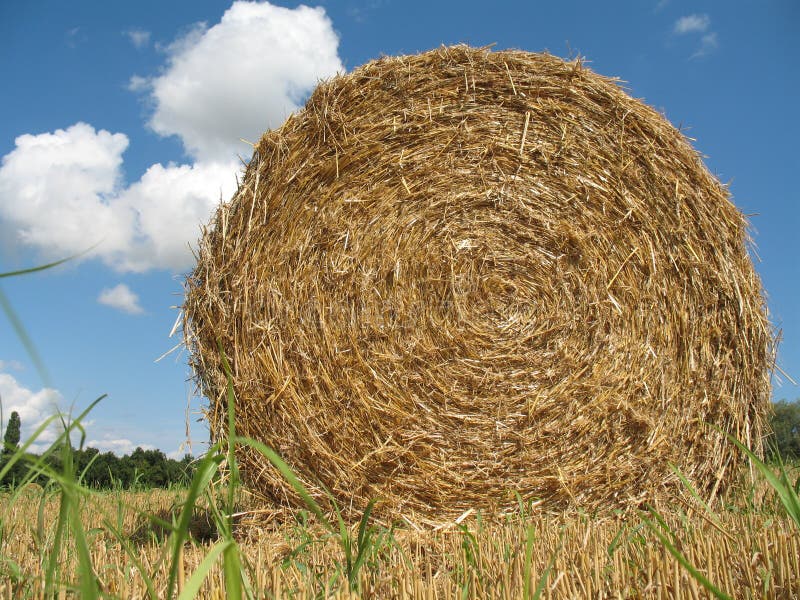 Hay Bale Picture. Image: 5931669