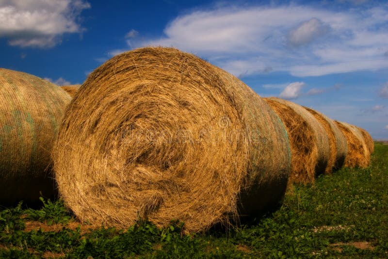 Hay Bale stock image. Image of rural, illinois, clouds - 983167