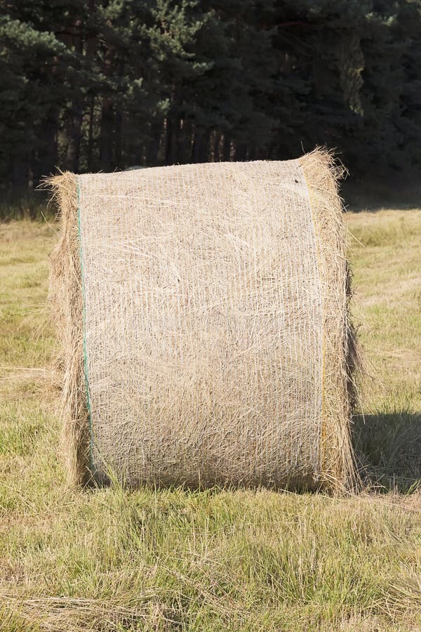 590 Bale Drying Stock Photos - Free & Royalty-Free Stock Photos from ...