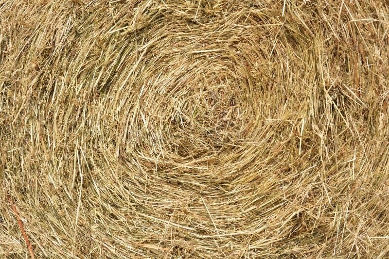 Hay Bale As Natural Background Stock Image - Image of haystack, pattern ...