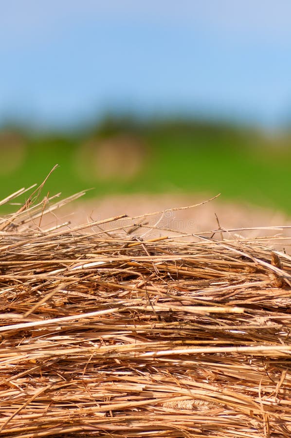 1,099 Stacked Hay Bale Background Stock Photos - Free & Royalty-Free ...