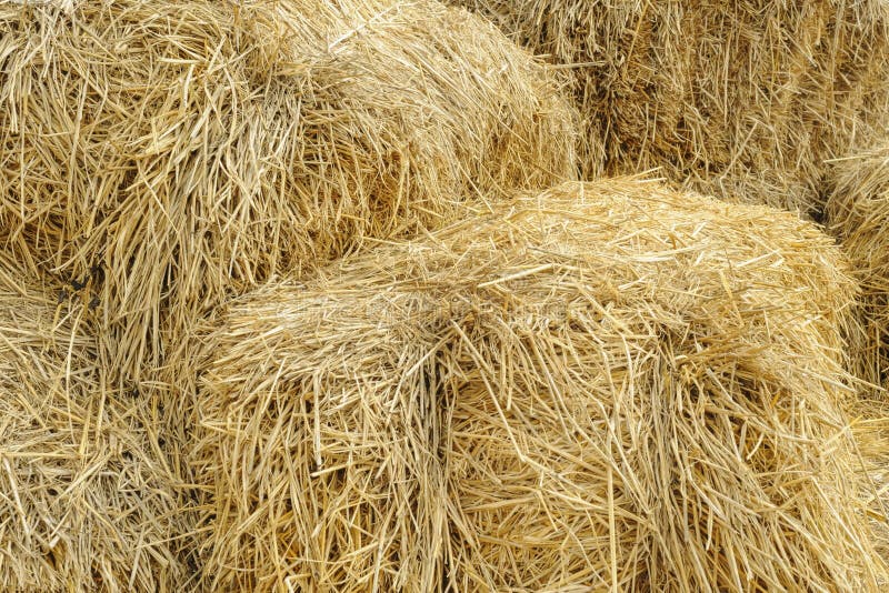 Hay Bale Background Texture. Stock Photo - Image of straw, wheat: 32852578