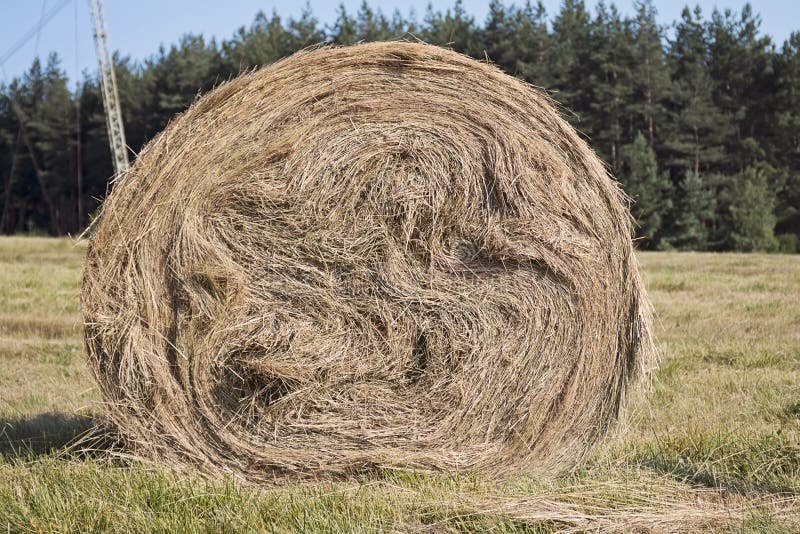 Hay Bale stock photo. Image of cultivated, ground, country - 57745538