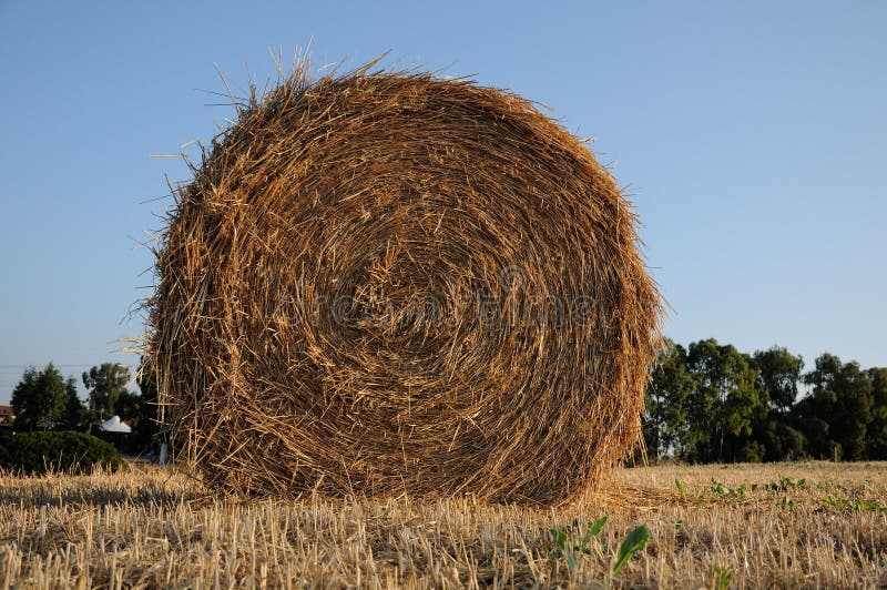 Hay bale in country sunset stock image. Image of grow - 20318535