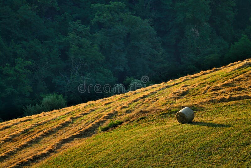 Hay bale in countryside stock image. Image of autumnal - 6613917
