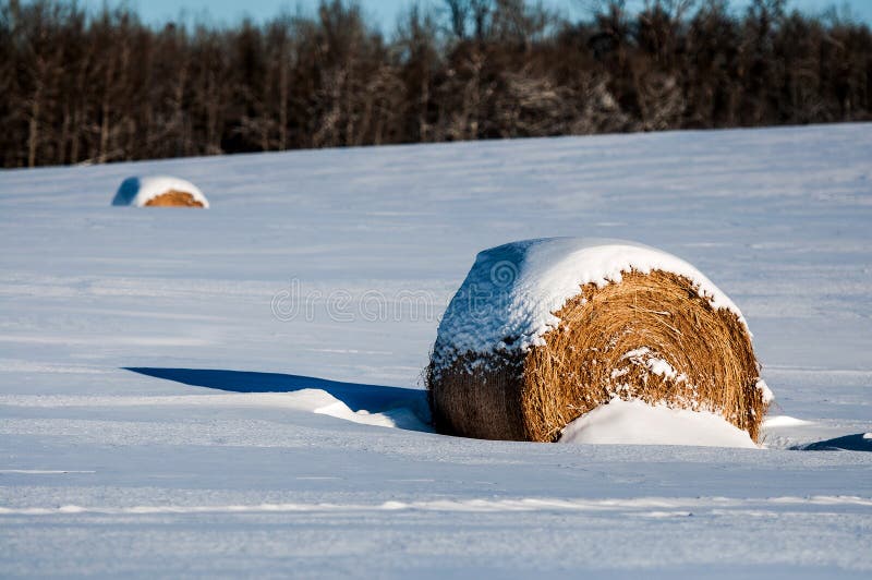 Hay Bale Covered in Snow stock image. Image of left, farmland - 45323555