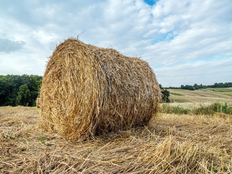 Hay bale stock image. Image of haymaking, culture, country - 43804939