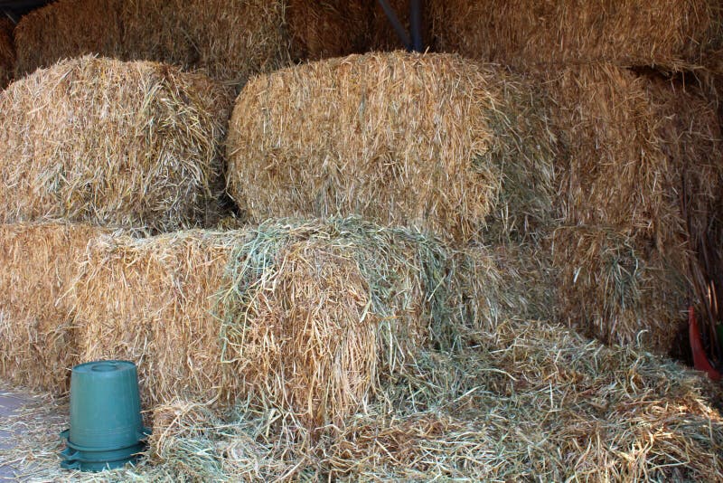 Hay bale in a farm stock image. Image of earth, water - 157331221