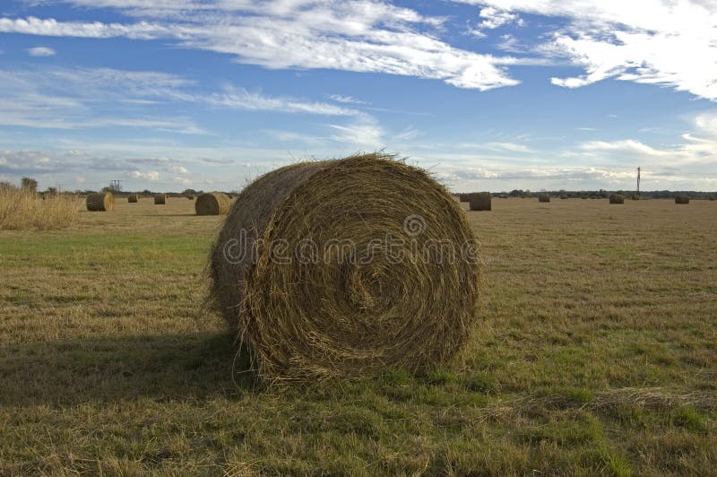 Hey Bail Stock Photos - Free & Royalty-Free Stock Photos from Dreamstime