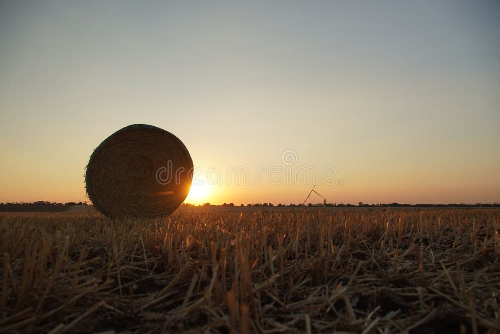 Hay Bale in the Field at Sunset Stock Photo - Image of countryside ...