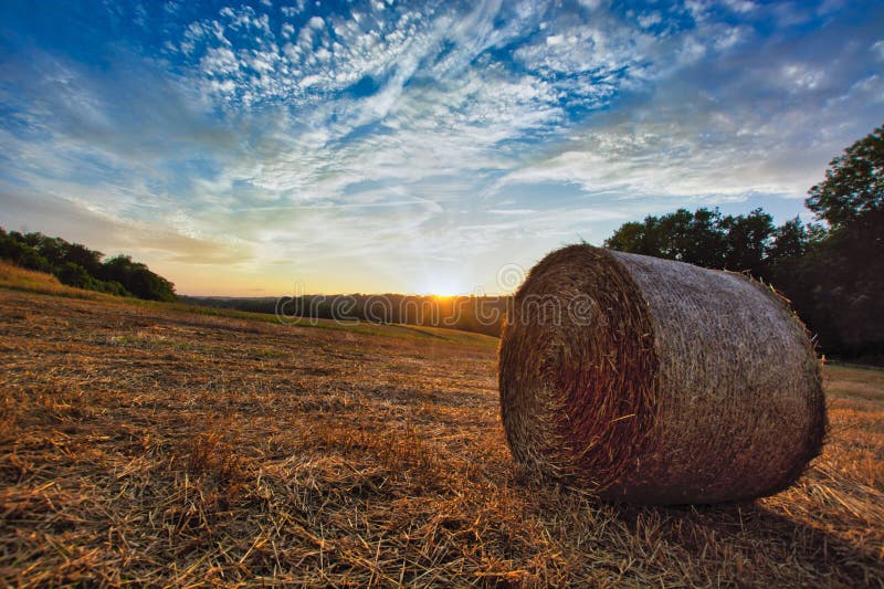 Hay Bale on the Field at Sunset. Stock Image - Image of leaf, tree ...