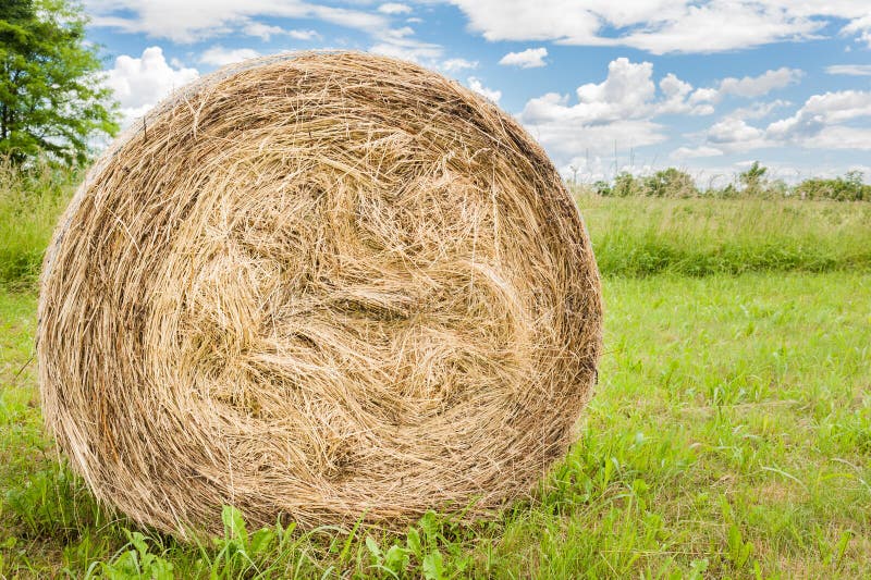 Hay bale. stock image. Image of country, line, grain - 58164923