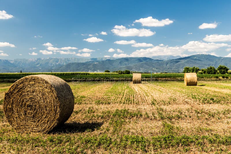 Hay Bale in the Fields of Italy Stock Image - Image of agriculture ...