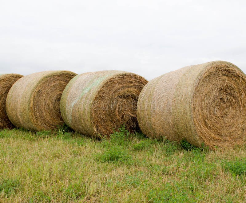 Hay Bale stock image. Image of space, outside, bale, field - 44767227