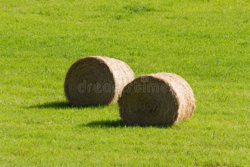Hay Bale stock photo. Image of bale, plant, green, farm - 53803806