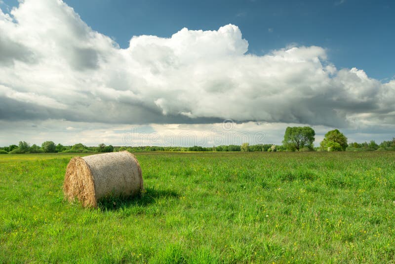 Hay Bale on Green Meadow and Big White Cloud on Blue Sky Stock Photo ...