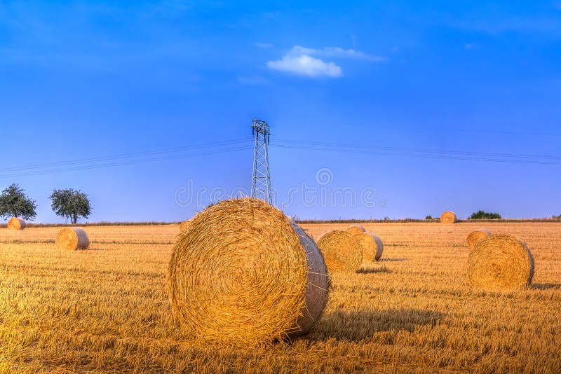 Hay bale stock image. Image of industry, biological, fibre - 57909241