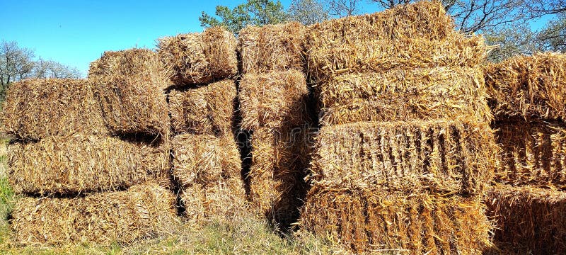 Hay bale rectangular stock photo. Image of historical - 247116138